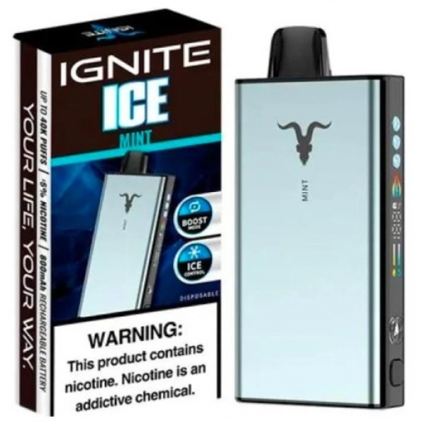 Ignite v400 Ice Control 40k - 40000 Puffs - Pod Descartável - Palácio ...